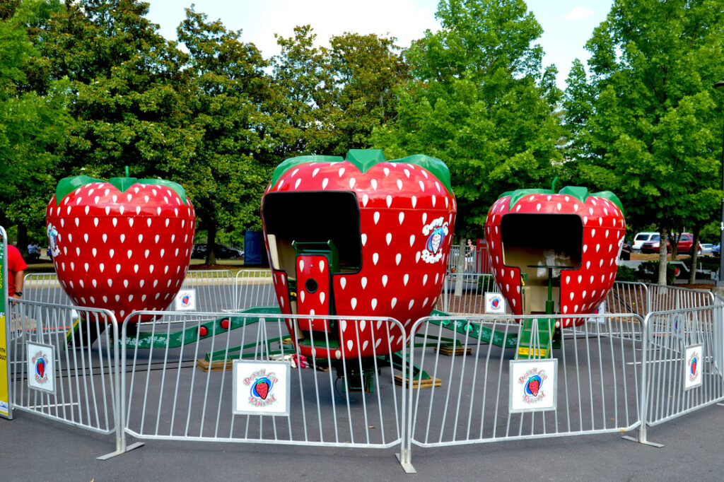 Berry Go Round - Palmetto Amusements