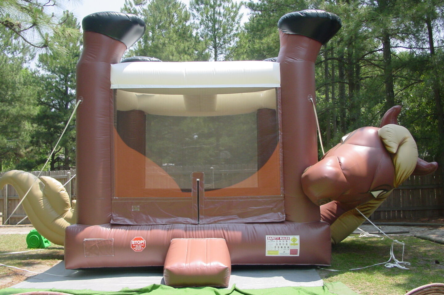 Pony Belly Bouncer - Palmetto Amusements